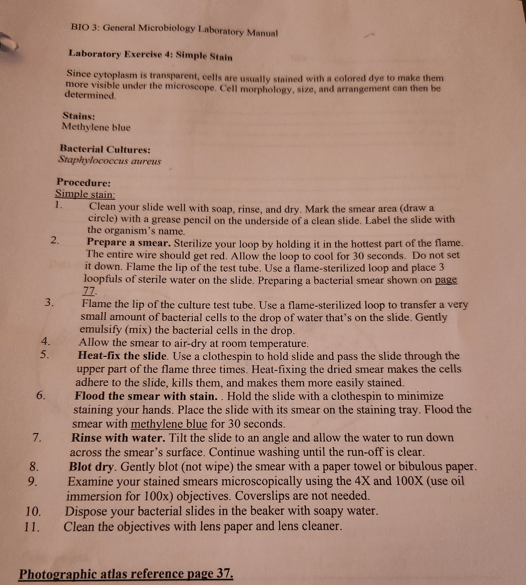 Solved purpose background and conclusion | Chegg.com