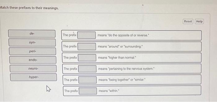 Solved Match these prefixes to their meanings. The prefix | Chegg.com