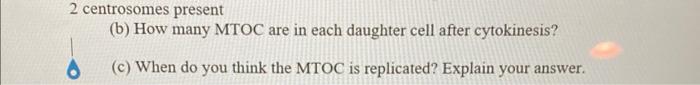 Solved 2 centrosomes present (b) How many MTOC are in each | Chegg.com