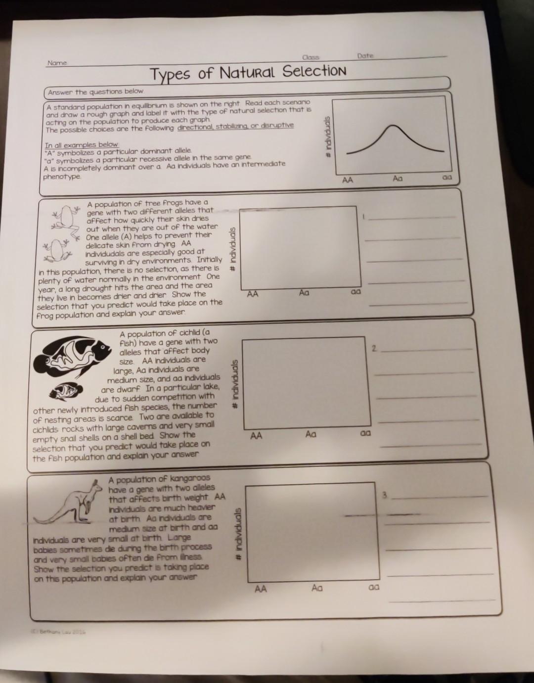 Solved Class Date Name Types of Natural Selection Answer the | Chegg.com