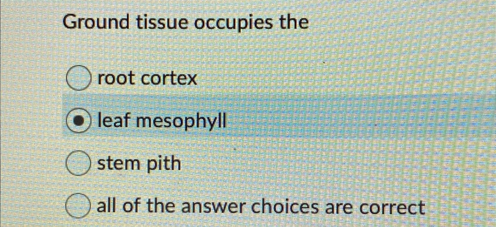 Solved Ground tissue occupies theroot cortexleaf | Chegg.com