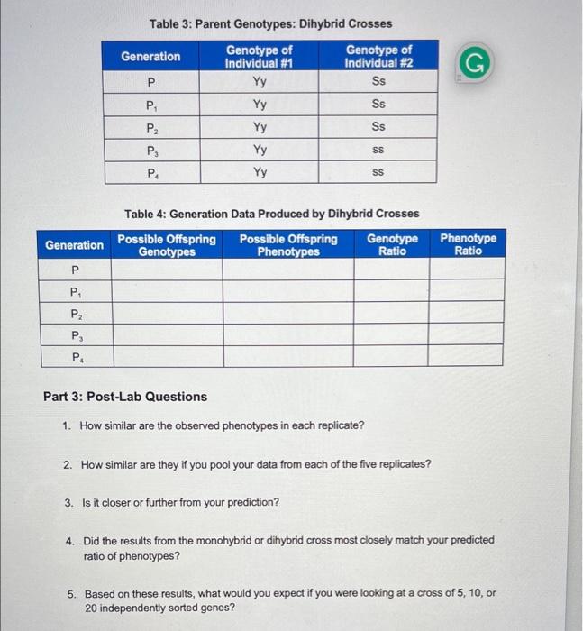 Solved Table 3: Parent Genotypes: Dihybrid Crosses | Chegg.com