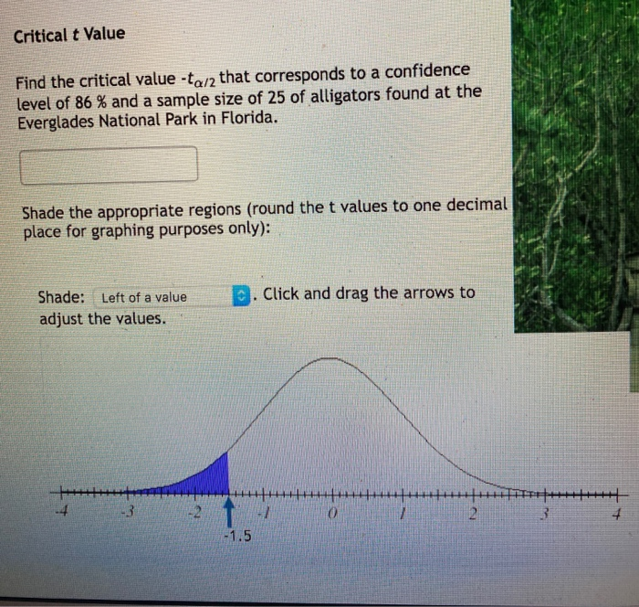 Solved Critical t Value Find the critical value -ta/2 that | Chegg.com