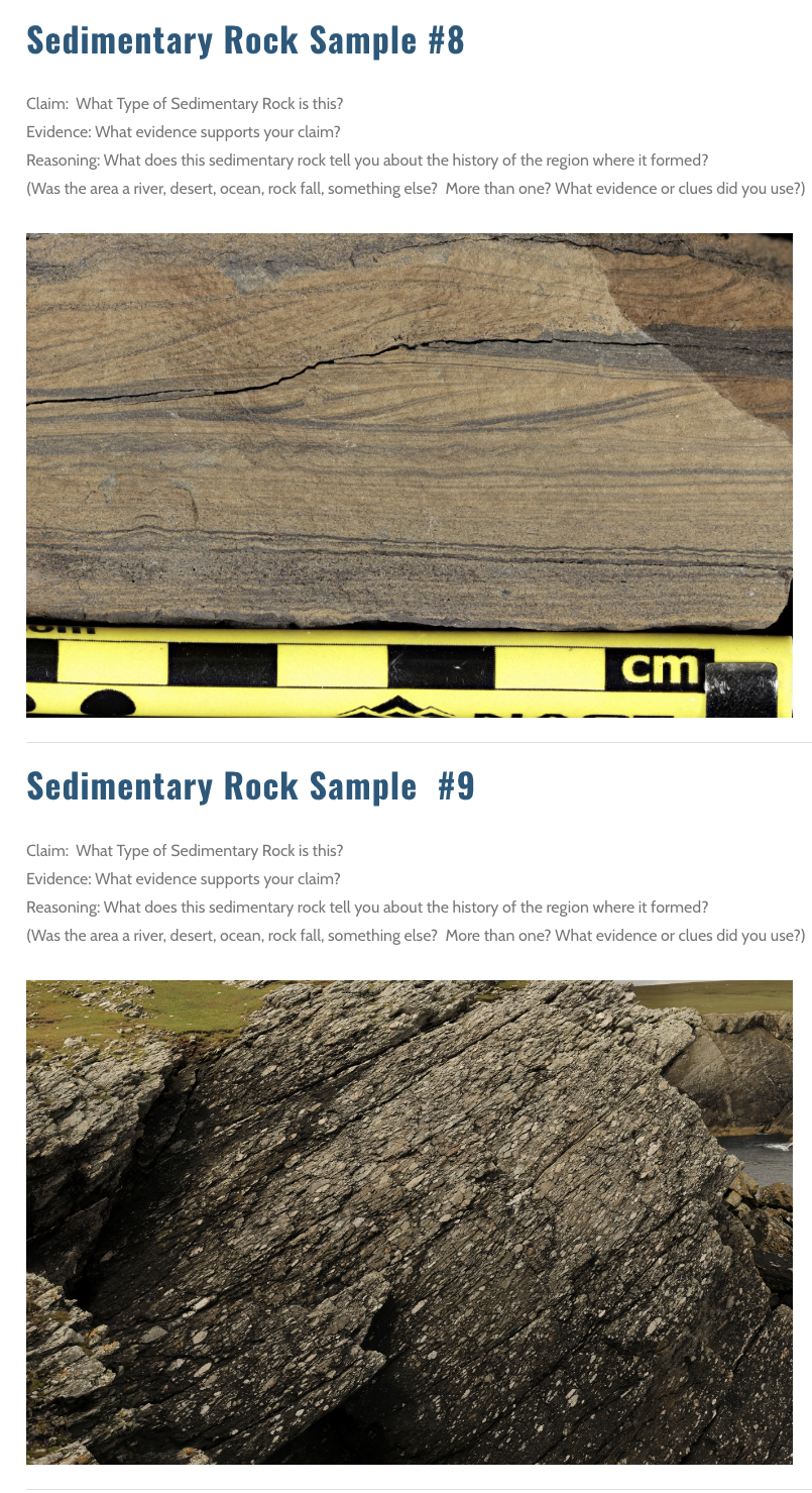 Solved Sedimentary Rock Sample #8Claim: What Type of | Chegg.com