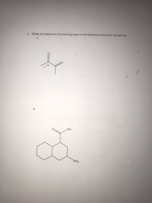 Solved 2. Circle and name the functional groups in the | Chegg.com