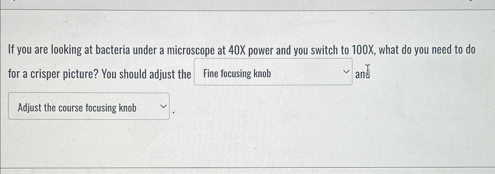 Solved If you are looking at bacteria under a microscope at | Chegg.com