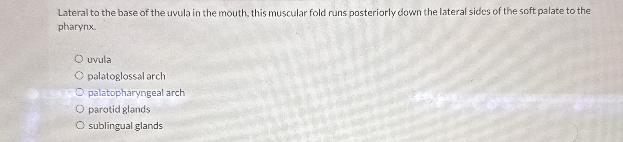 Solved Lateral to the base of the uvula in the mouth, this | Chegg.com