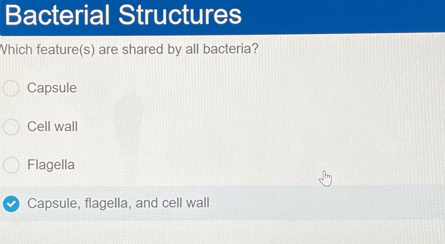 Solved Bacterial StructuresWhich feature(s) ﻿are shared by | Chegg.com