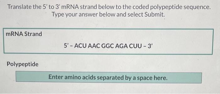 Solved Translate the 5′ to 3′ mRNA strand below to the coded | Chegg.com