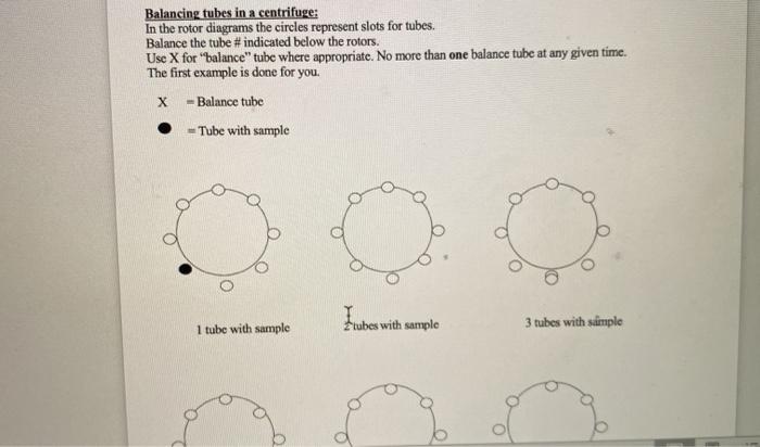 Solved Balancing tubes in a centrifuge: In the rotor | Chegg.com