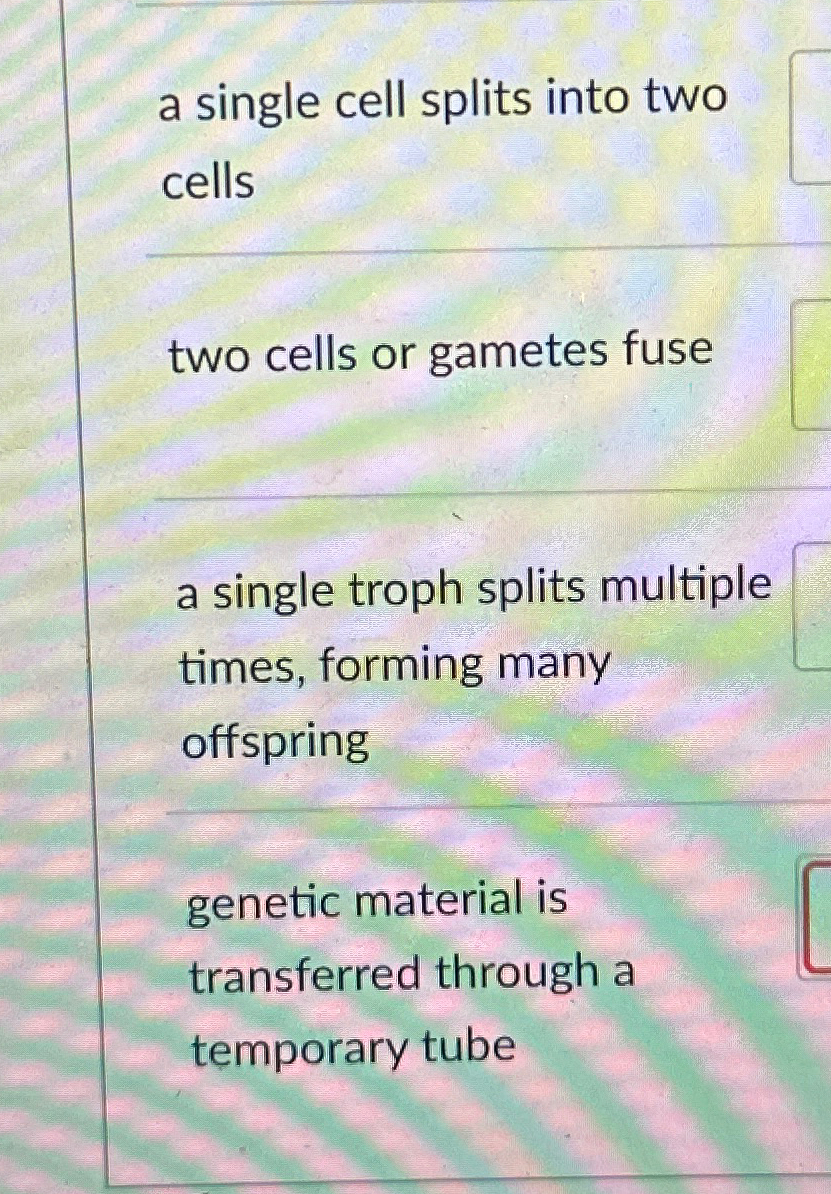 Solved a single cell splits into two cellstwo cells or | Chegg.com