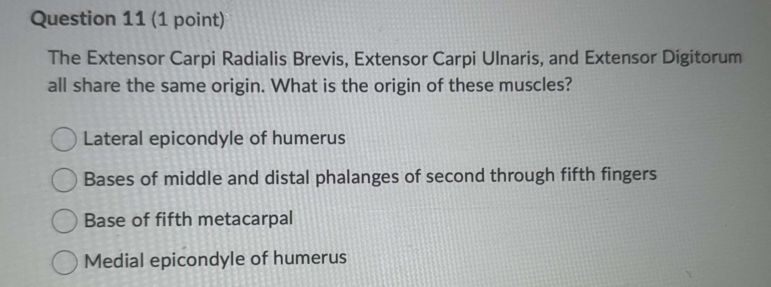 Solved Question 11 (1 ﻿point)The Extensor Carpi Radialis | Chegg.com