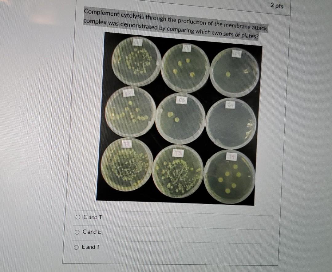 Solved 2 pts Complement cytolysis through the production of | Chegg.com