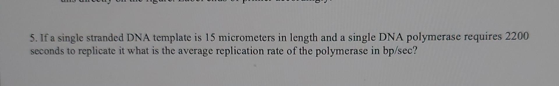 Solved 5. If a single stranded DNA template is 15 | Chegg.com