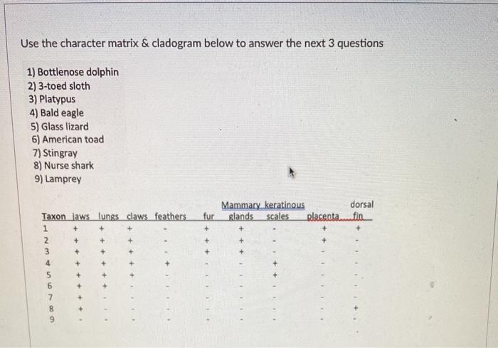 Solved Use the character matrix & cladogram below to answer | Chegg.com
