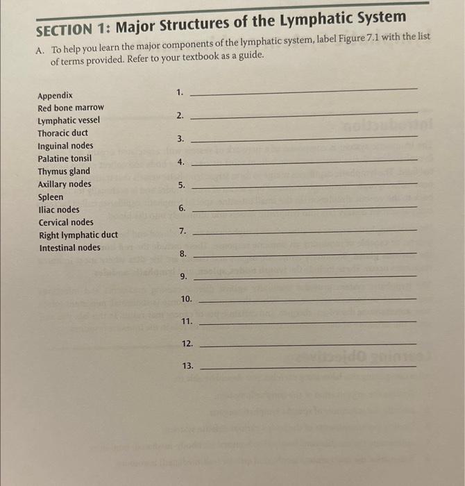 Solved SECTION 1: Major Structures of the Lymphatic System | Chegg.com
