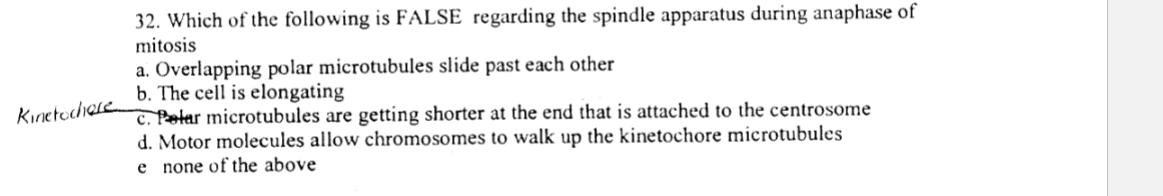 Solved Which of the following is FALSE regarding the spindle | Chegg.com