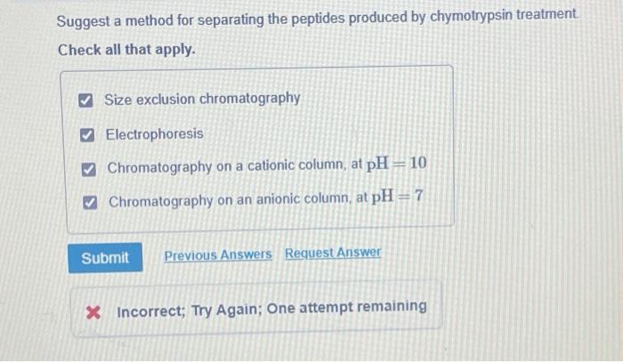 Solved Suggest a method for separating the peptides produced | Chegg.com