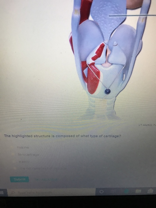 Solved The highlighted structure is composed of what type of | Chegg.com