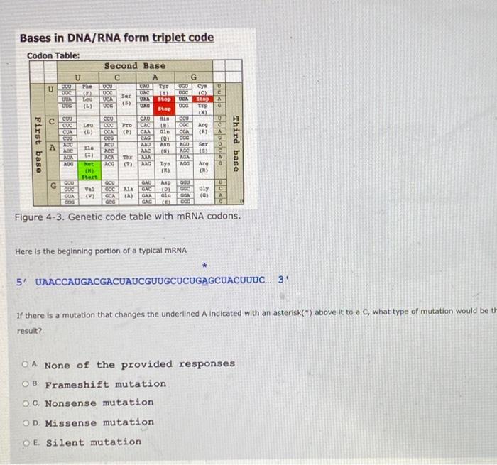 Solved Bases in DNA/RNA form triplet code Figure 4-3. | Chegg.com