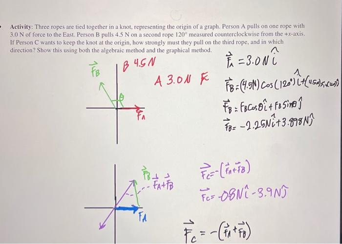 Solved Activity: Three ropes are tied together in a knot, | Chegg.com