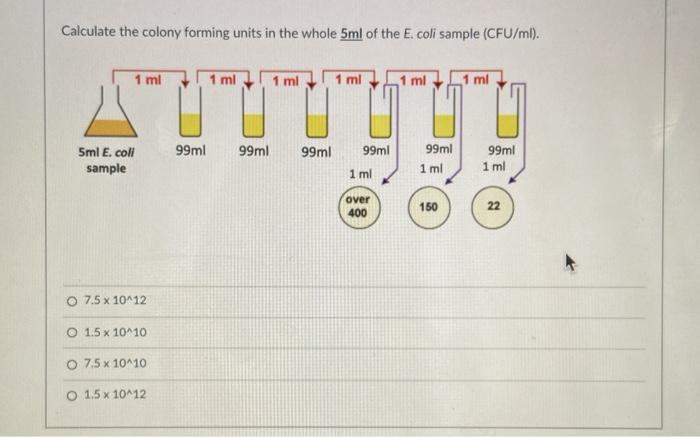 Solved Calculate the colony forming units in the whole 5ml | Chegg.com