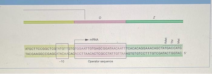 Looking at Figure 11-16 , note the large overlap | Chegg.com