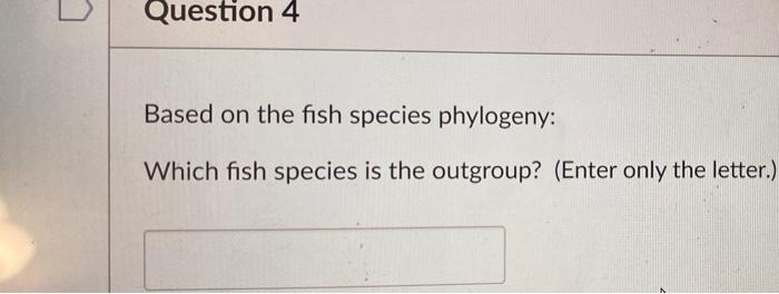 Solved The Fish Species Phylogeny: Fall 2021, section 24018 | Chegg.com