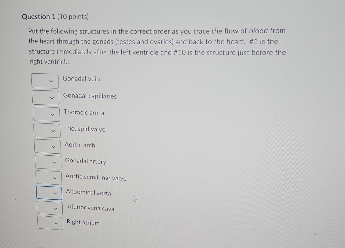 Solved Question 1 (10 ﻿points)Put the following structures | Chegg.com
