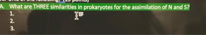 Solved What are THREE similarities in prokaryotes for the | Chegg.com