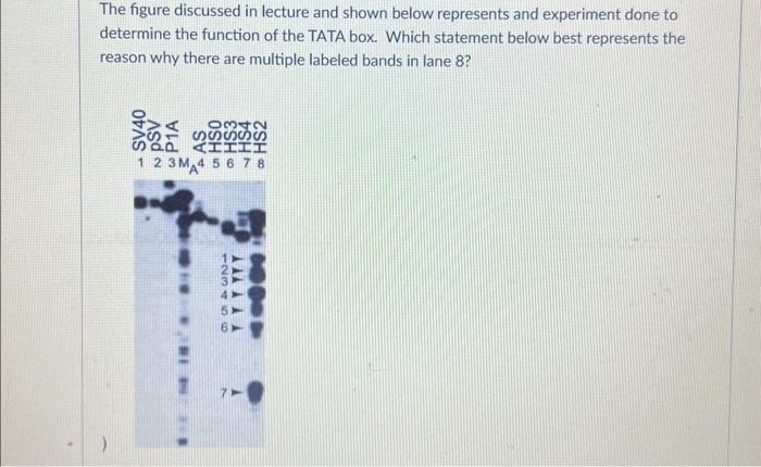 Solved The figure discussed in lecture and shown below | Chegg.com