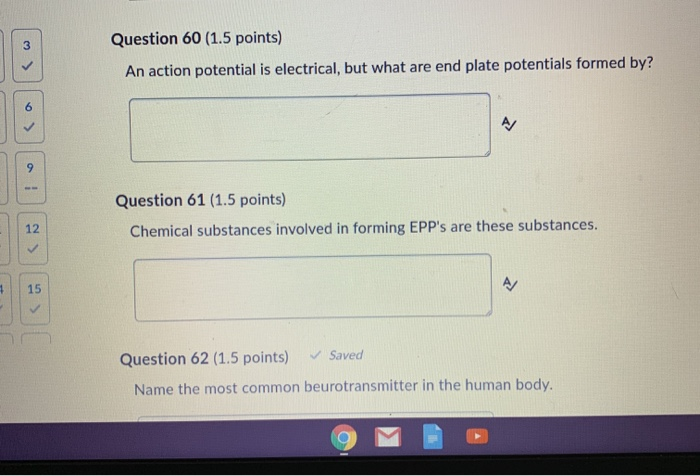 Solved Question 60 (1.5 points) An action potential is | Chegg.com