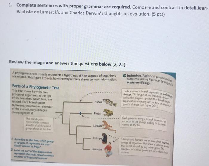 Solved Instructors: Additional question to this Visualizing | Chegg.com Solved Instructors: Additional question to this Visualizing | Chegg.com