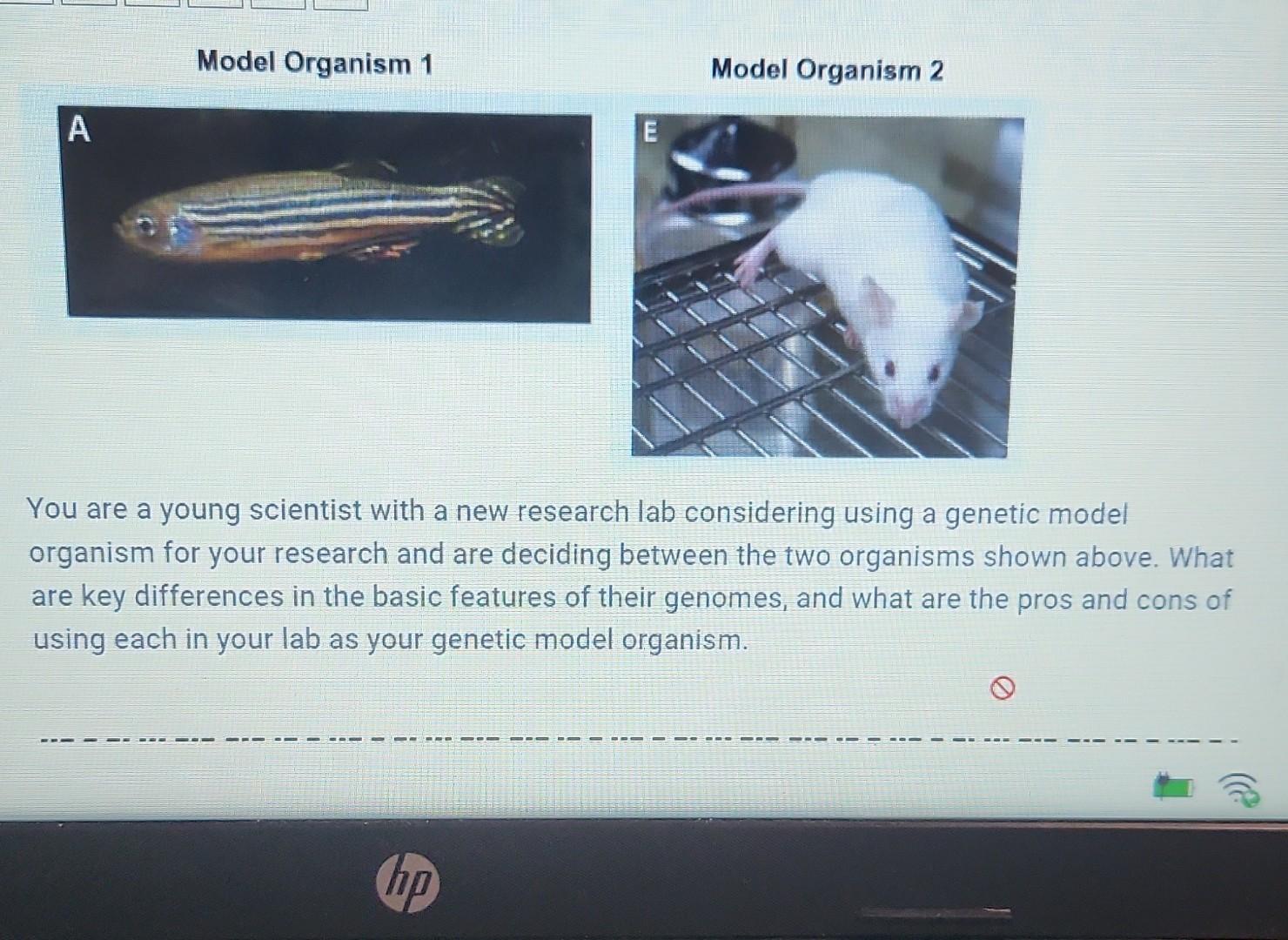 Solved Model Organism 1 Model Organism 2 You are a young | Chegg.com