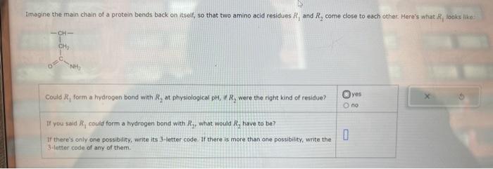 Solved tmogine the main chain of a protein bends back on | Chegg.com