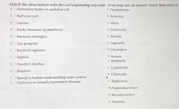 Solved Match the description with the corresponding microbe. | Chegg.com