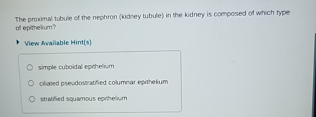Solved The proximal tubule of the nephron (kidney tubule) | Chegg.com
