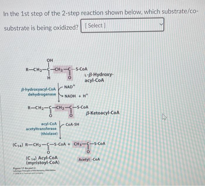 Solved In the 1st step of the 2-step reaction shown below, | Chegg.com