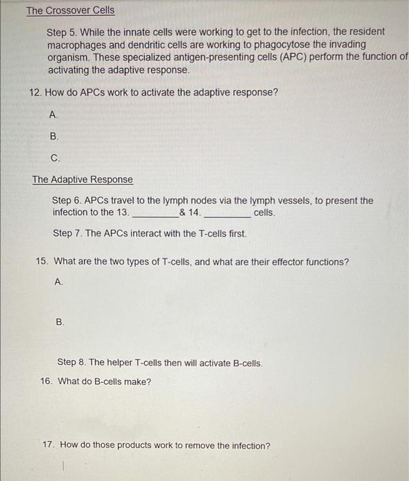 Solved The Crossover Cells Step 5. While the innate cells | Chegg.com