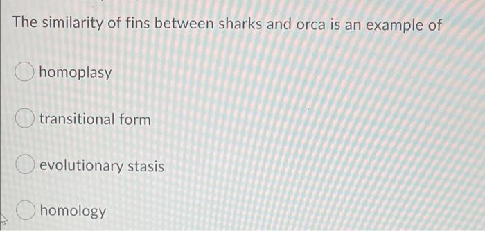 Solved A Similarity in Homology is a similarity in form or | Chegg.com