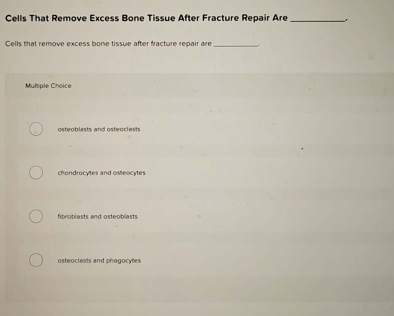 Solved Cells That Remove Excess Bone Tissue After Fracture | Chegg.com