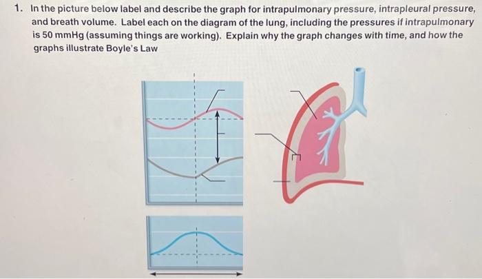 In the picture below label and describe the graph for | Chegg.com