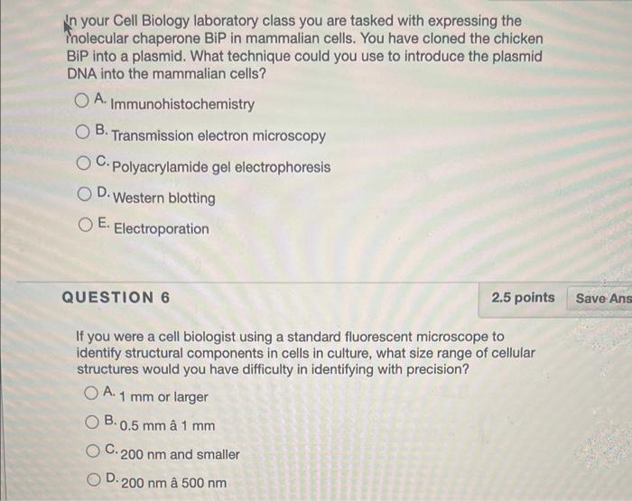 Solved In your Cell Biology laboratory class you are tasked | Chegg.com