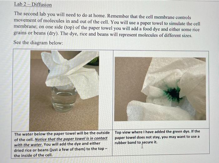 Solved Lab 2 - Diffusion The second lab you will need to do | Chegg.com