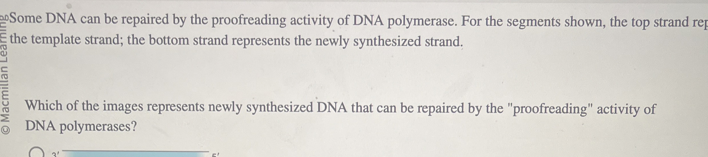 Solved Some DNA can be repaired by the proofreading activity | Chegg.com