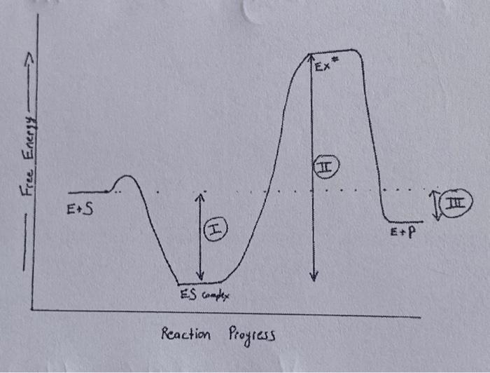 Solved Which number indicates the activation energy barrier? | Chegg.com