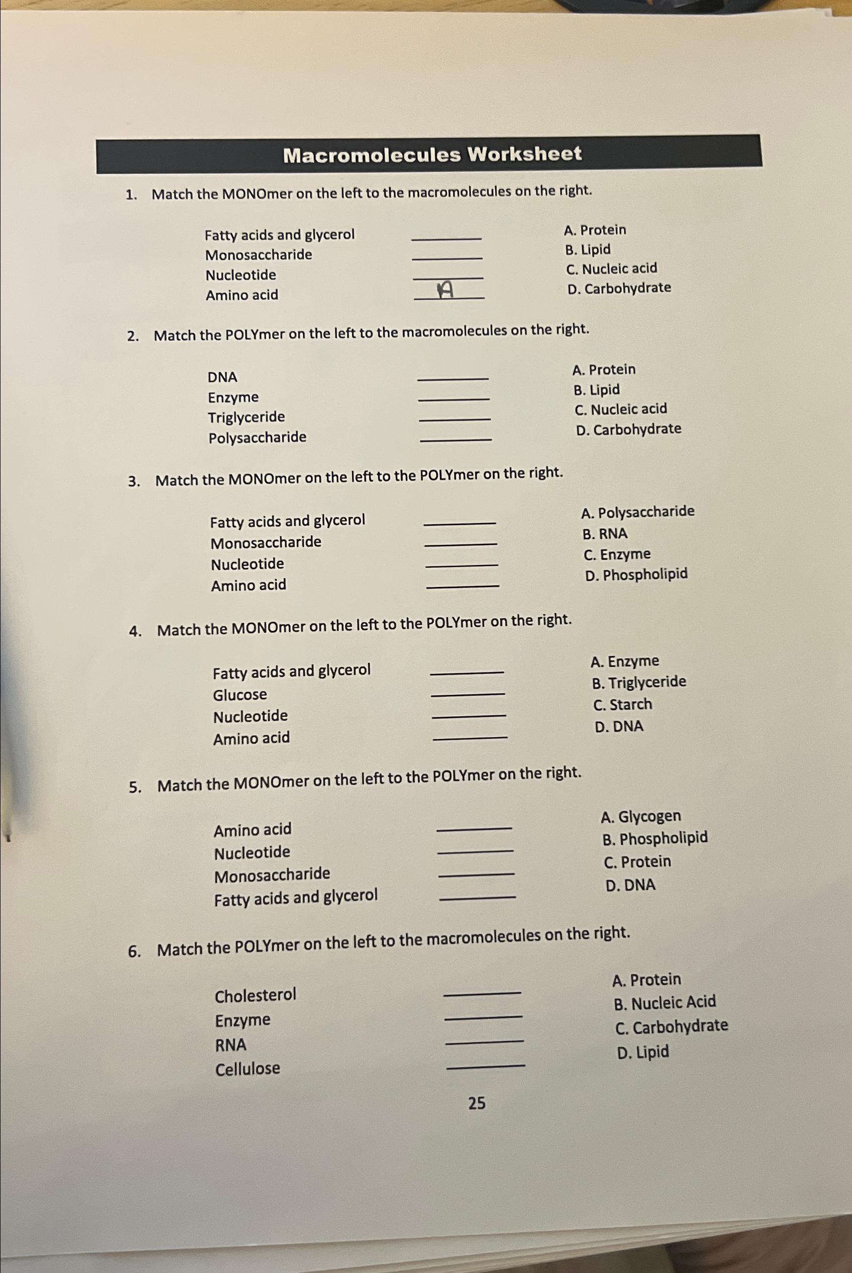 Solved Macromolecules WorksheetMatch the MONOmer on the left | Chegg.com