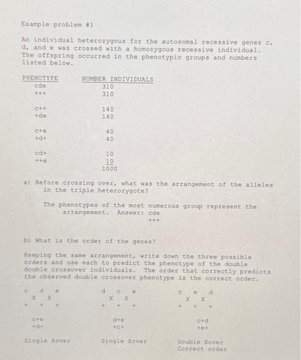 Solved Example problem #1 An individual heterozygous for the | Chegg.com