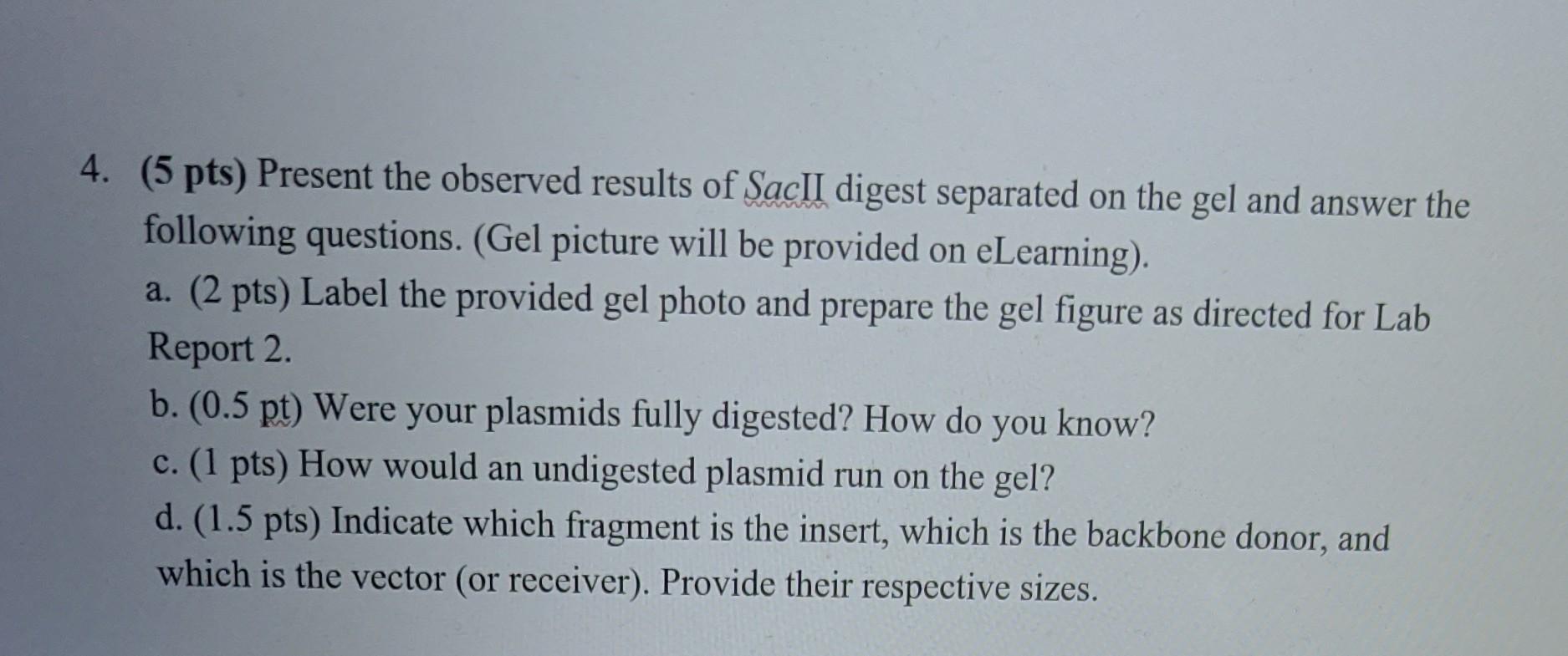 4. (5 pts) Present the observed results of SacII | Chegg.com