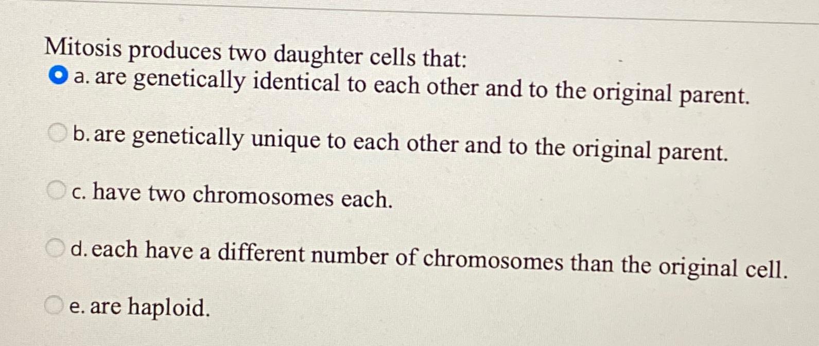 Solved Mitosis produces two daughter cells that:a. ﻿are | Chegg.com